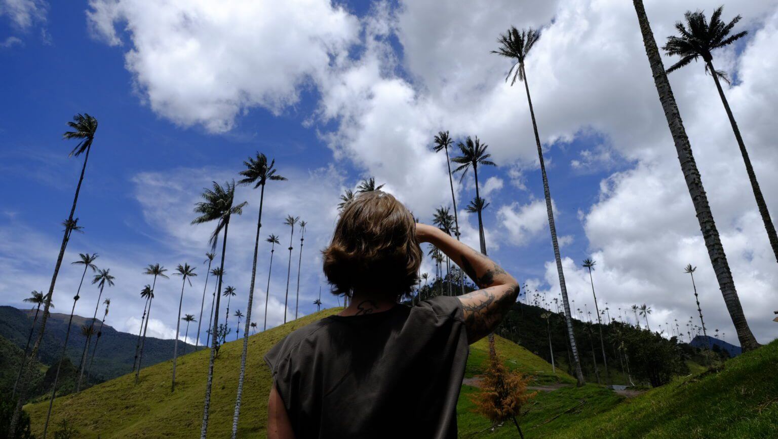 Guía para recorrer el Eje Cafetero en Colombia - TrotandoMundos