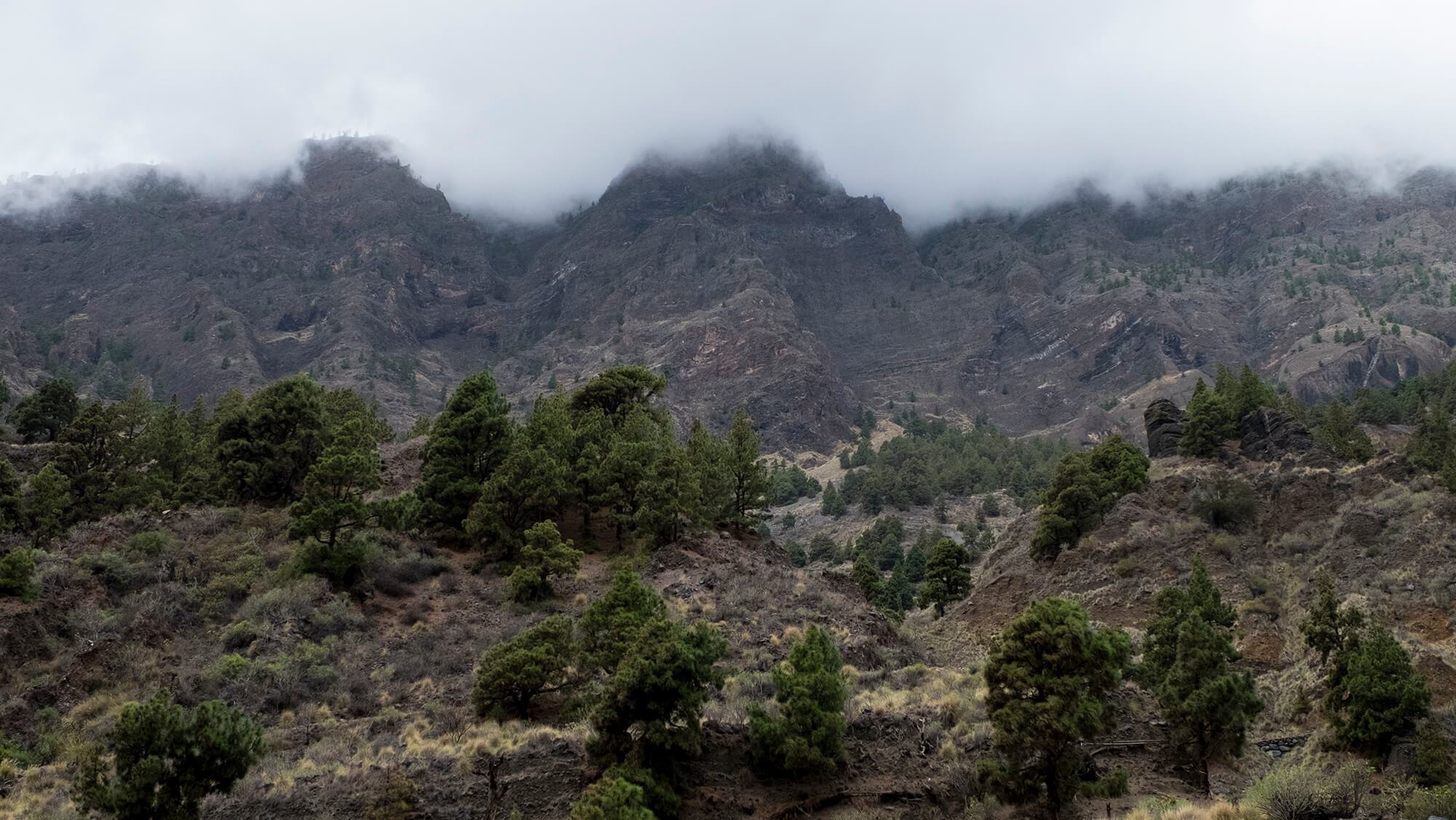 Caldera del volcán Taburiente en La Palma - TrotandoMundos
