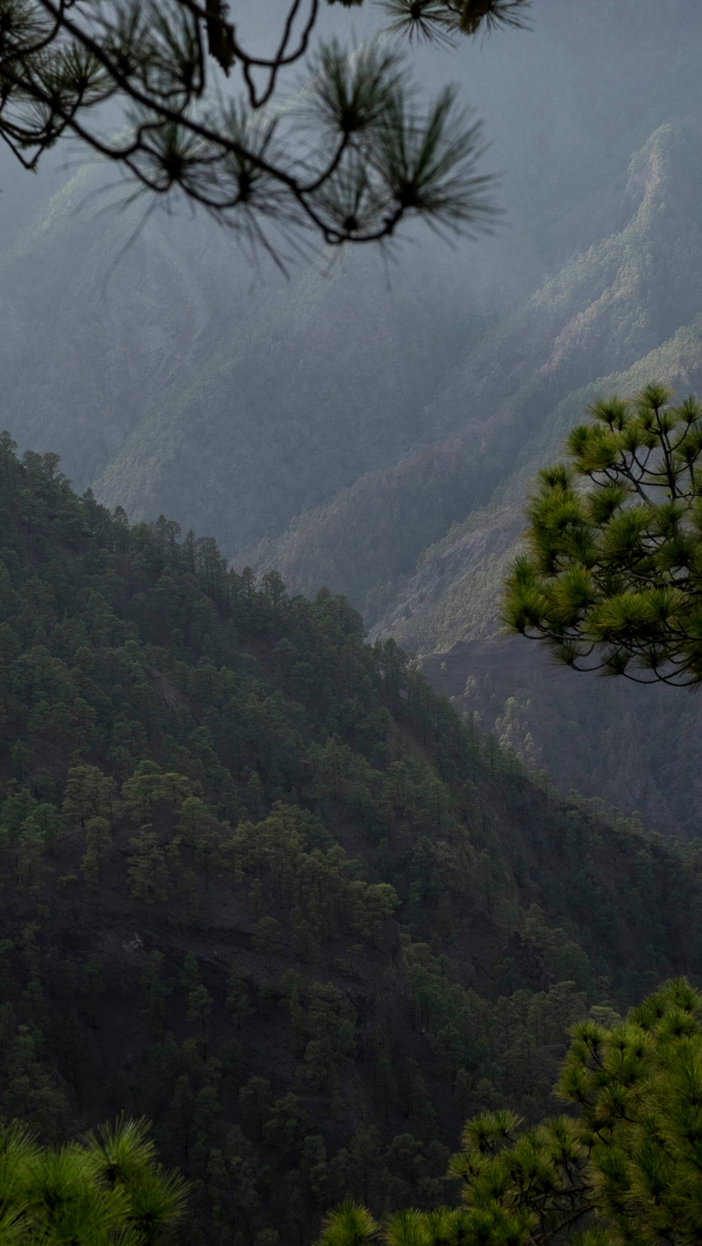 Caldera del volcán Taburiente en La Palma - TrotandoMundos