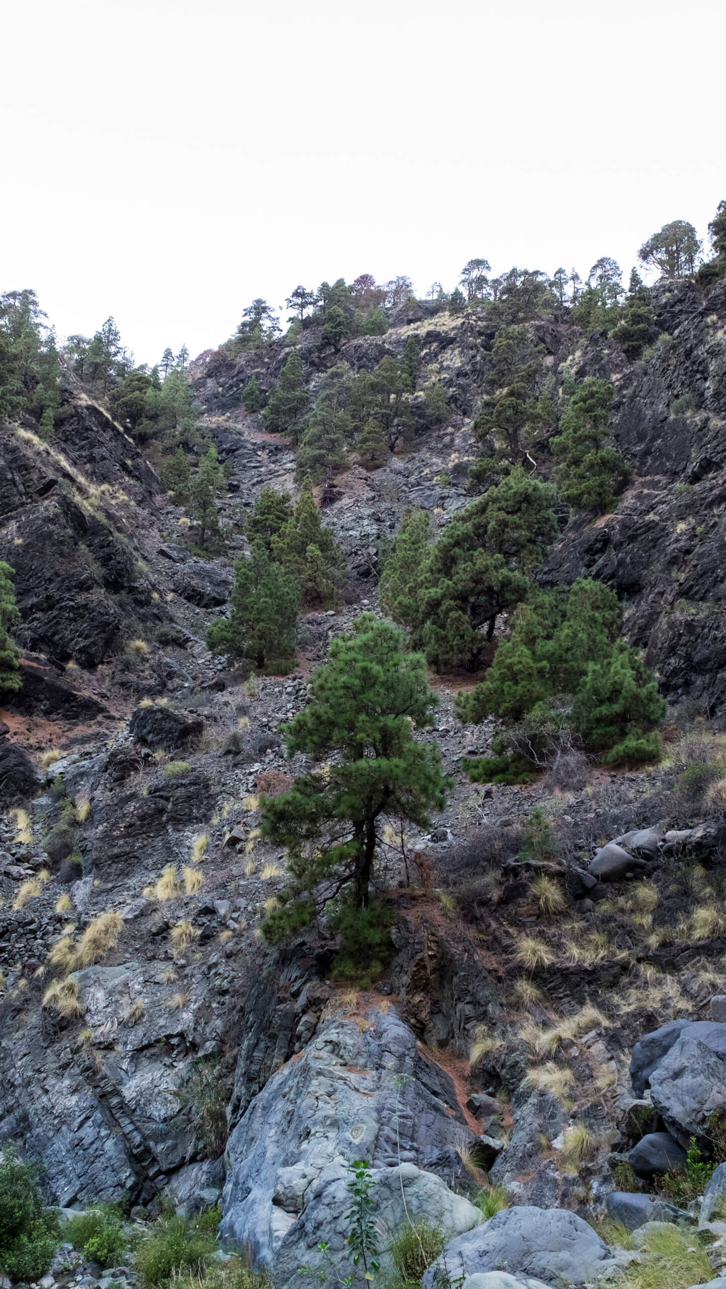 Caldera del volcán Taburiente en La Palma - TrotandoMundos