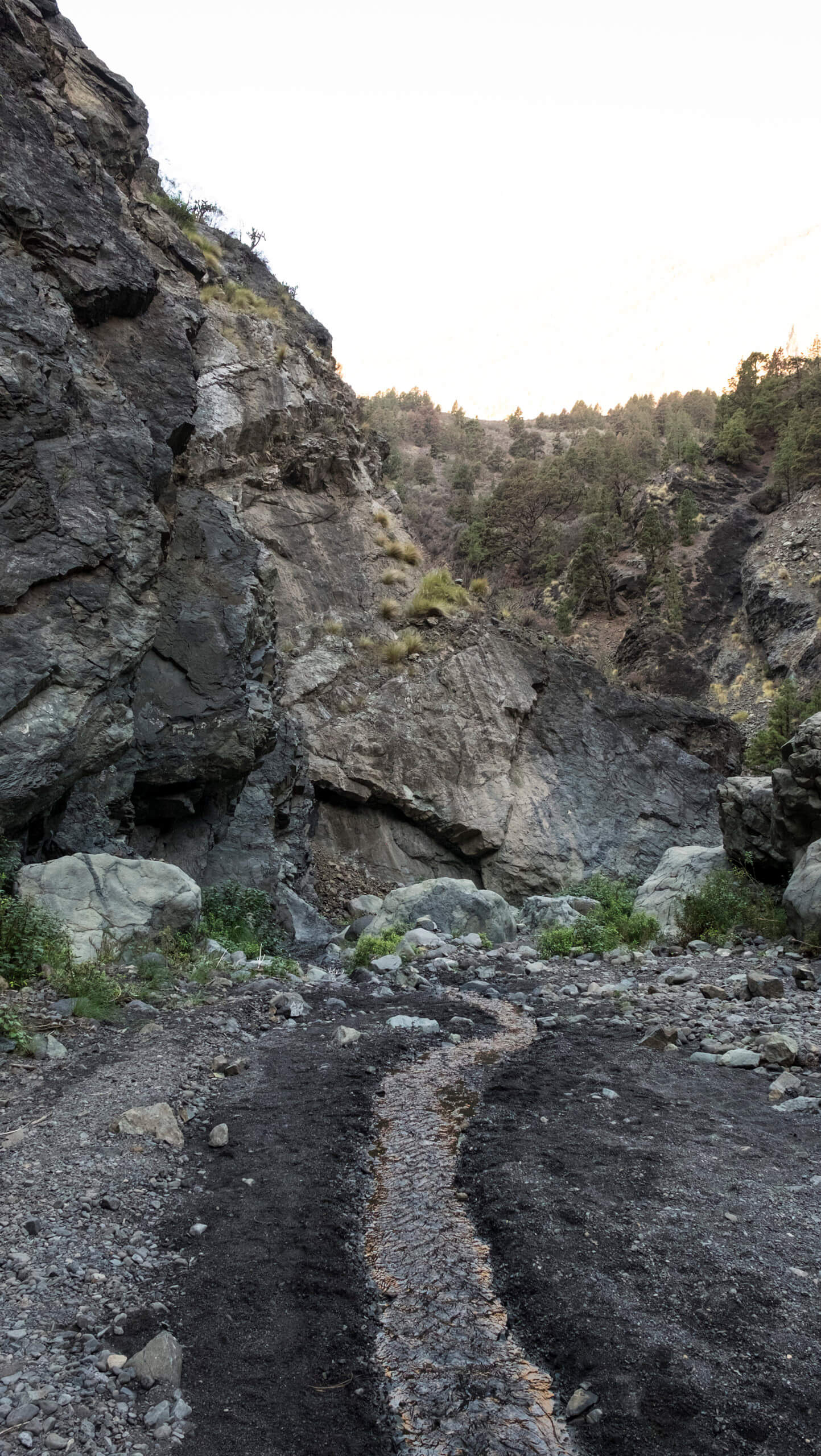 Caldera del volcán Taburiente en La Palma - TrotandoMundos