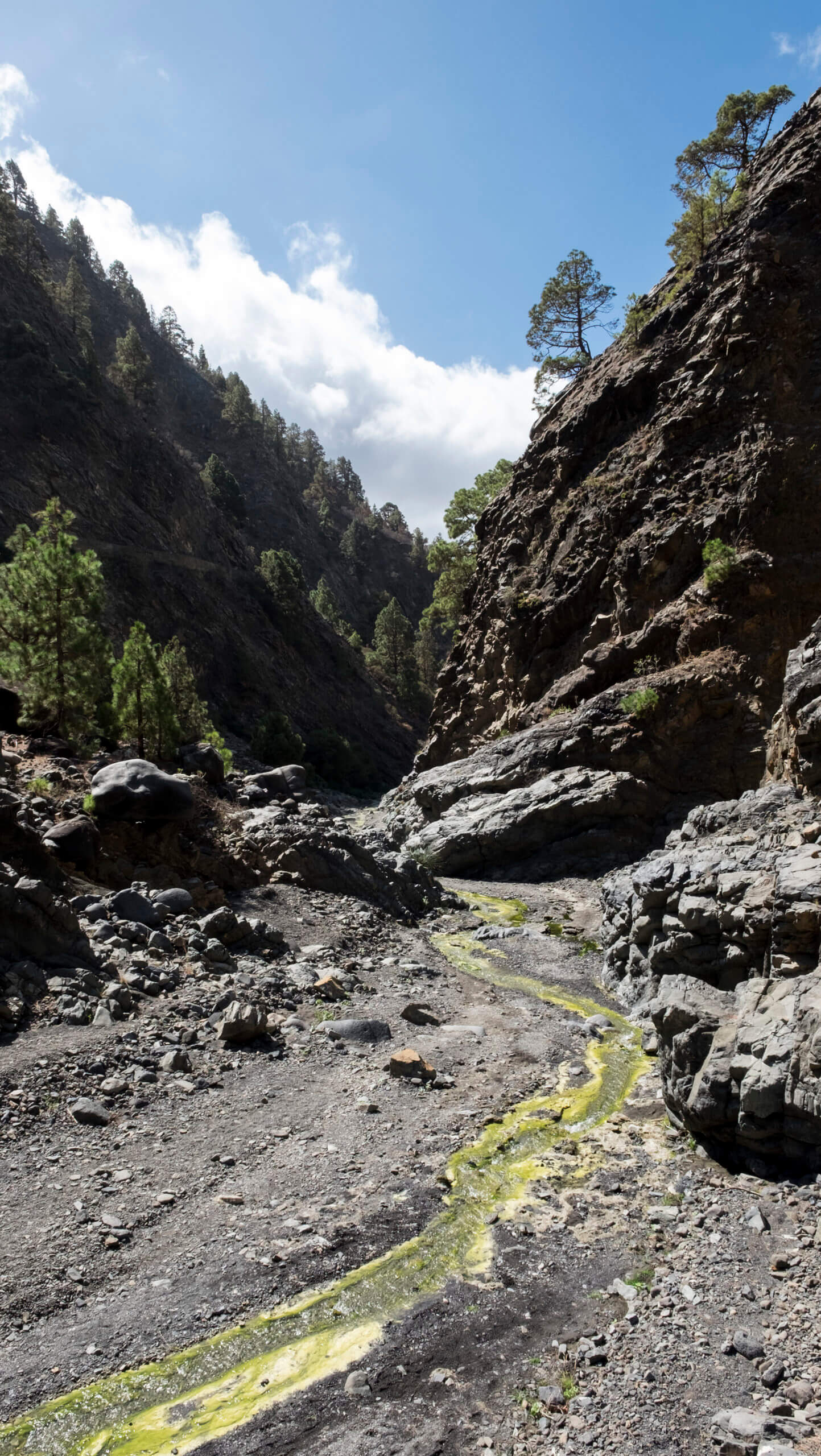 Caldera del volcán Taburiente en La Palma - TrotandoMundos