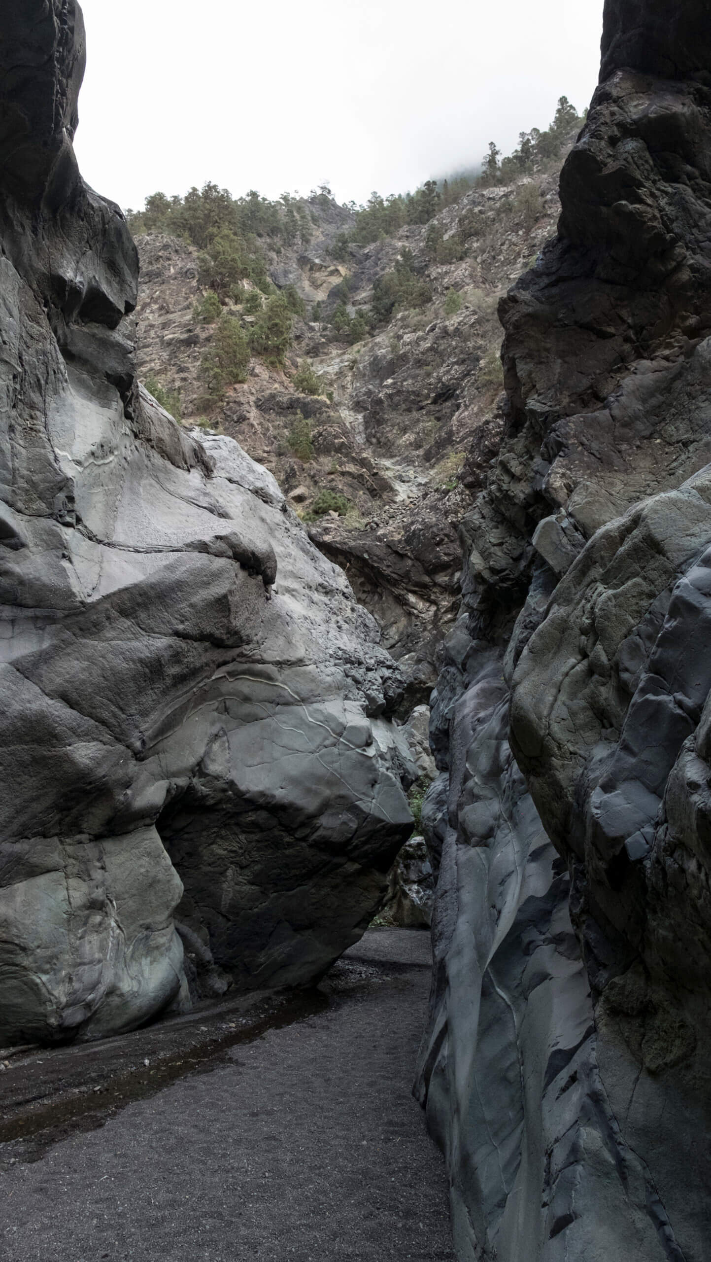 Caldera del volcán Taburiente en La Palma - TrotandoMundos