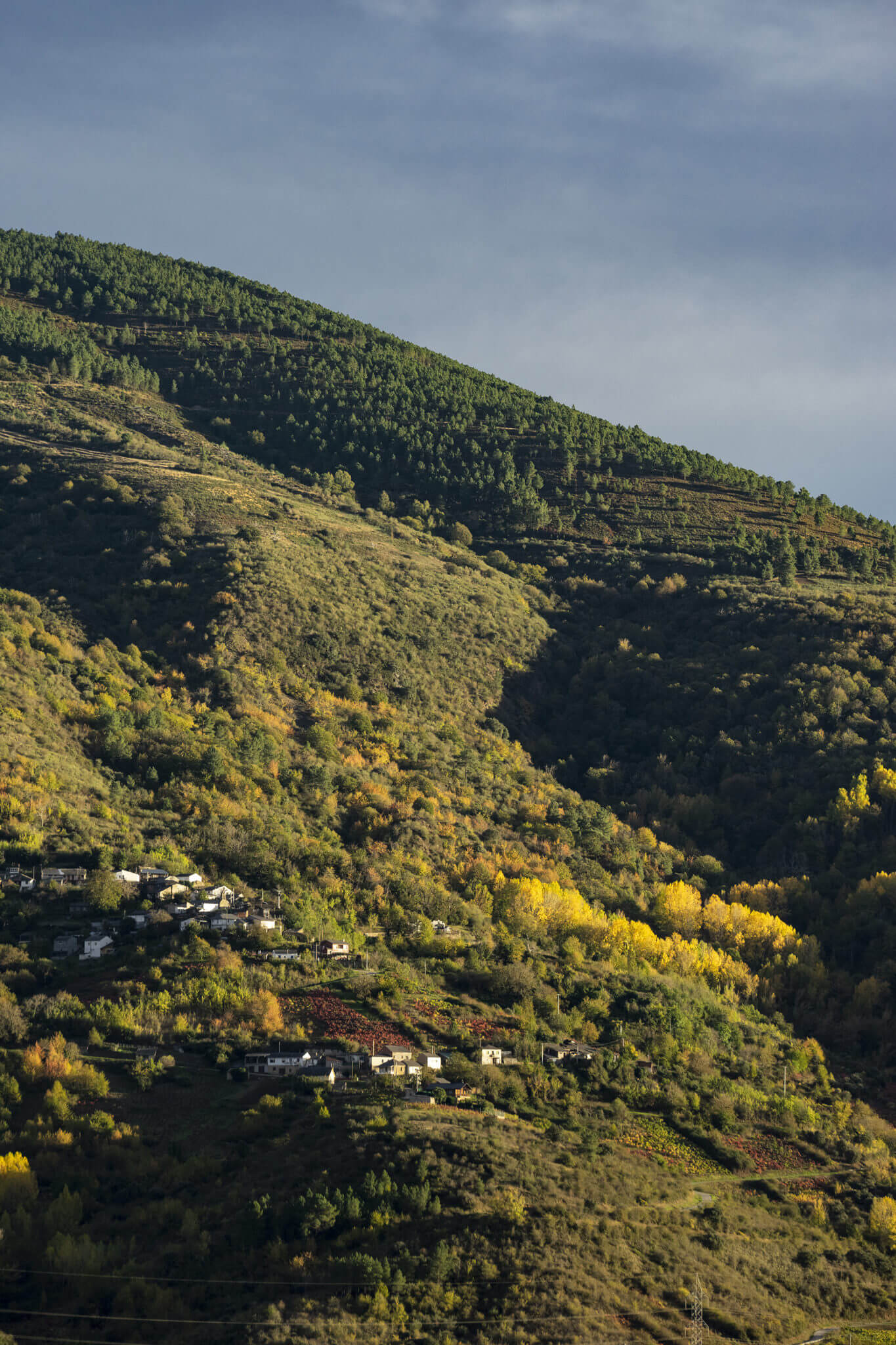 Comarca de Valdeorras: viñedos entre montañas, joyas romanas, parques ...