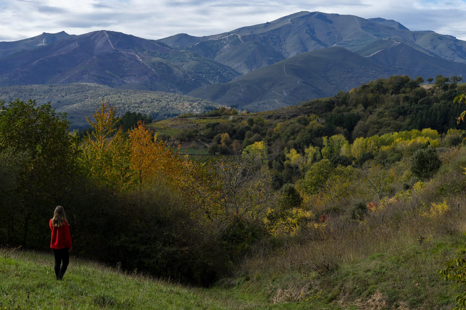 Qué ver en la comarca de Valdeorras en Galicia - TrotandoMundos