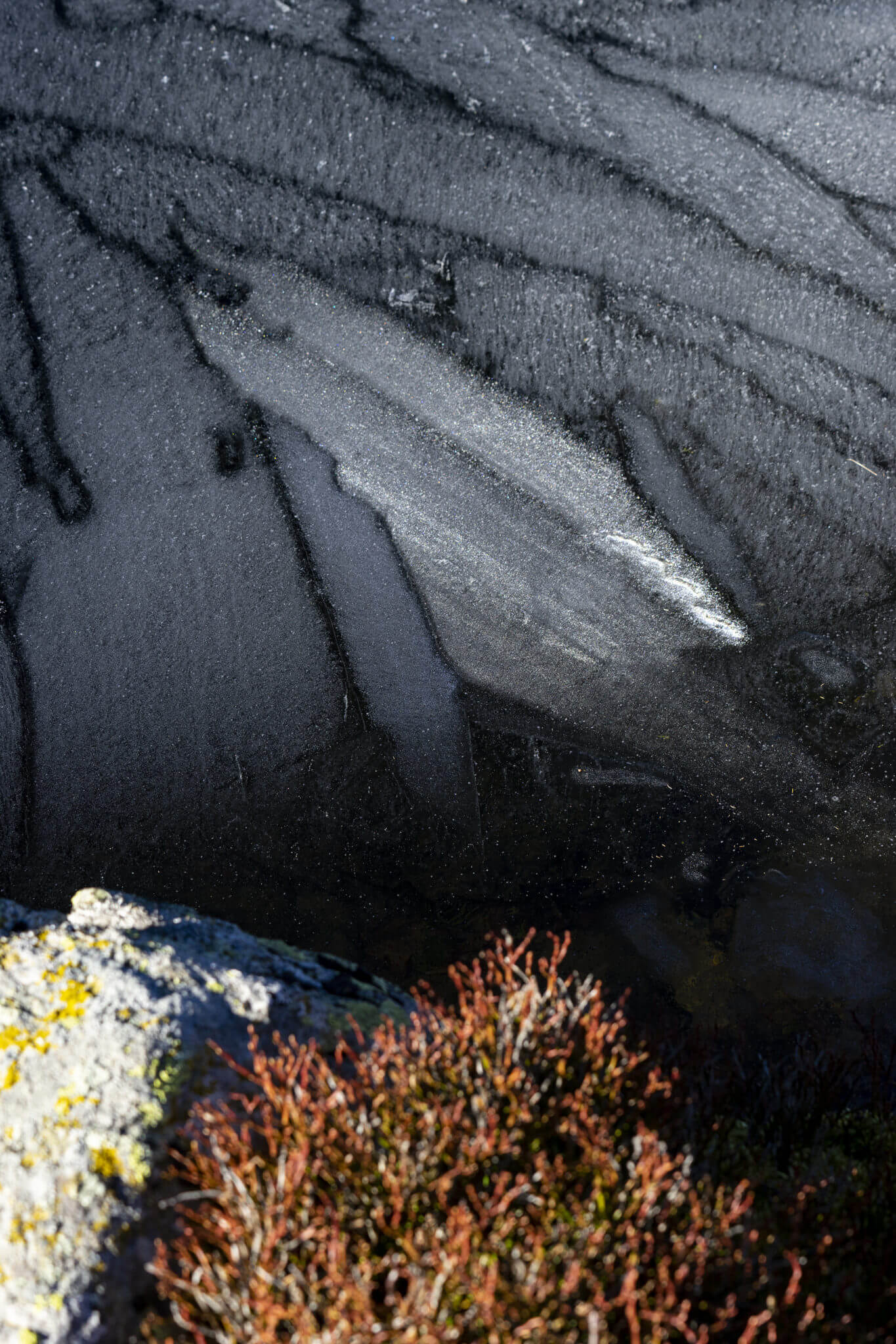 Pena Trevinca en Galicia: lugares y rutas imprescindibles