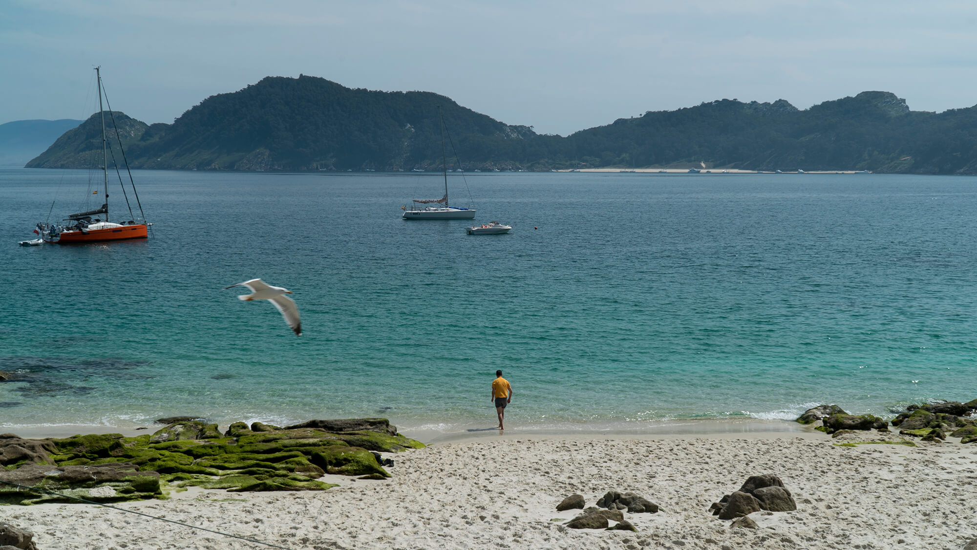Playas en las islas Cíes: un paraíso atlántico - TrotandoMundos