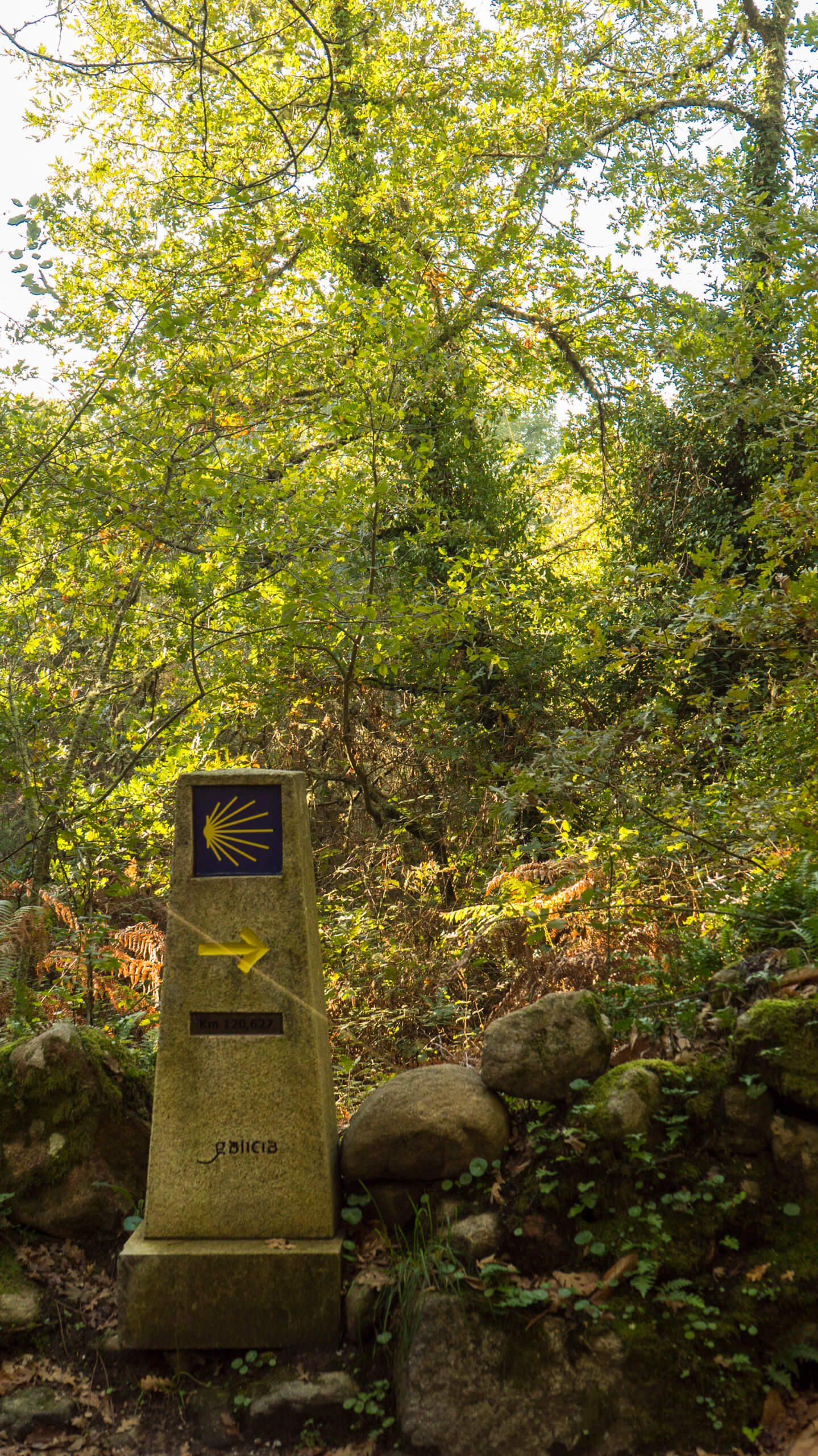 Cibdá de Armea: un yacimiento galaico-romano en Galicia