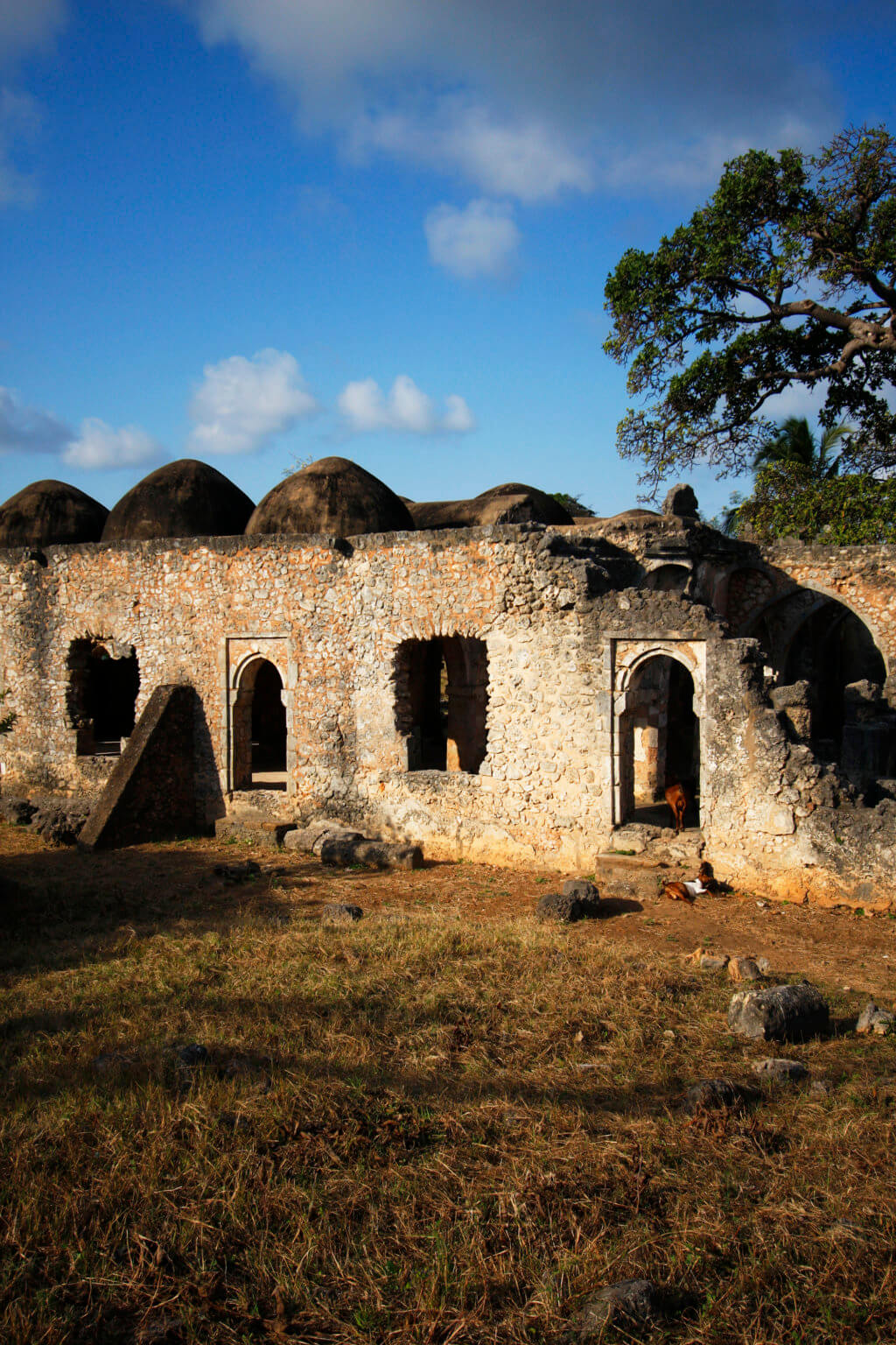 Kilwa Kisiwani y Songo Mnara: tesoros escondidos en el Índico