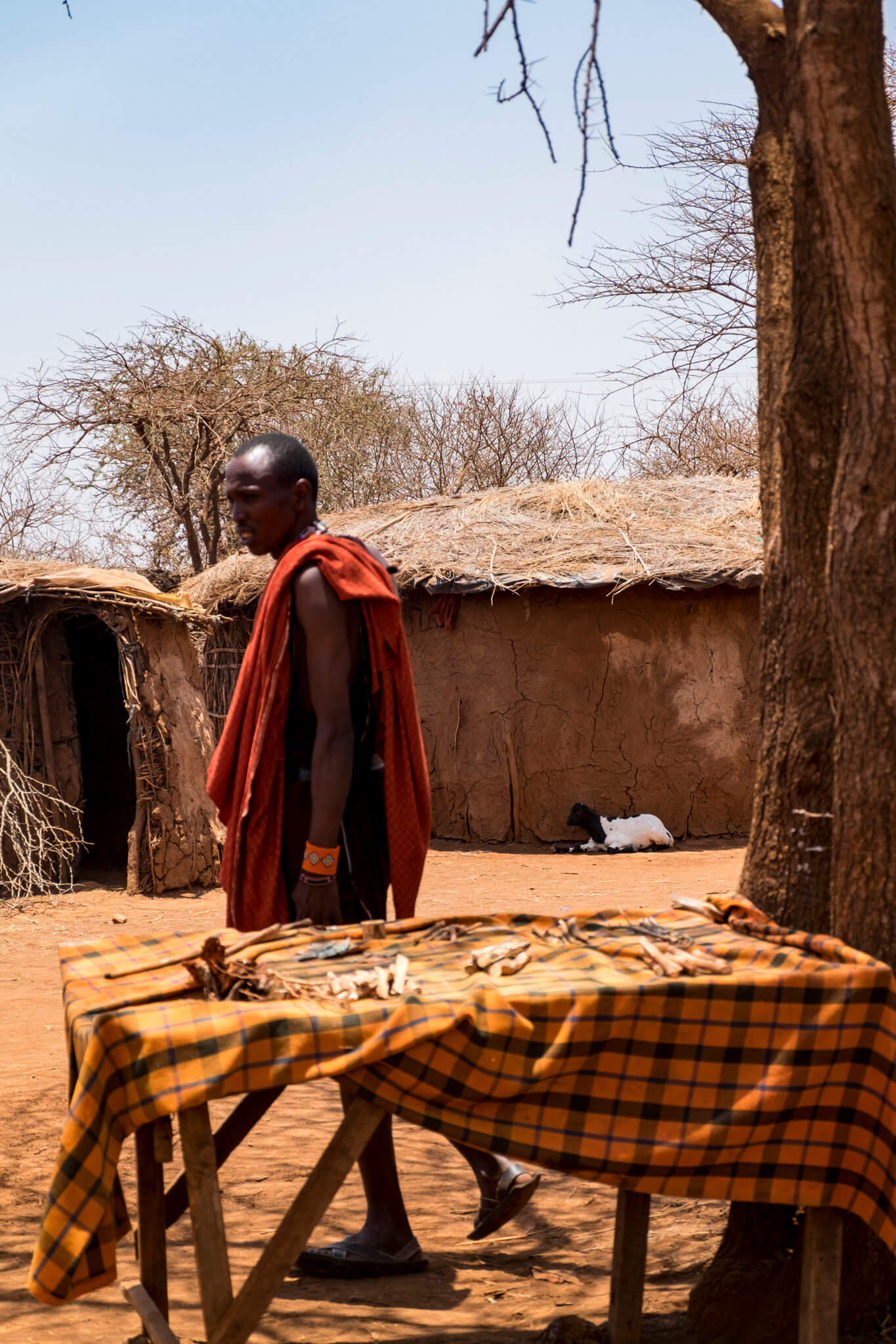 La tribu de los Masai en Kenia y Tanzania. África - TrotandoMundos