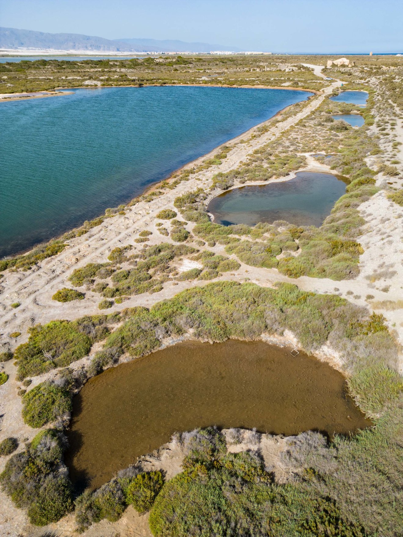 Qué ver en la Reserva Natural de Punta Entinas-Sabinar | Almería ...