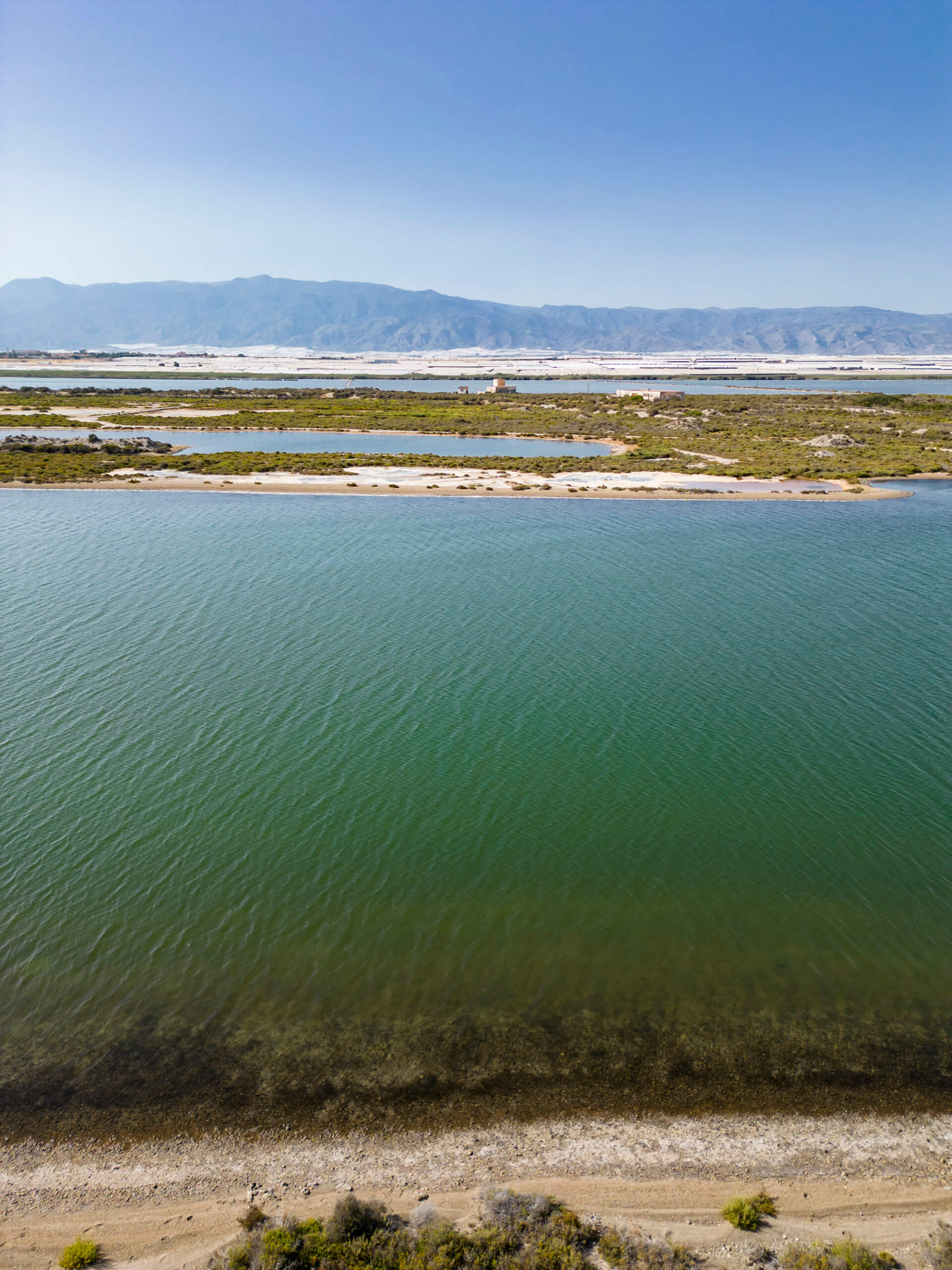 Qué ver en la Reserva Natural de Punta Entinas-Sabinar | Almería ...