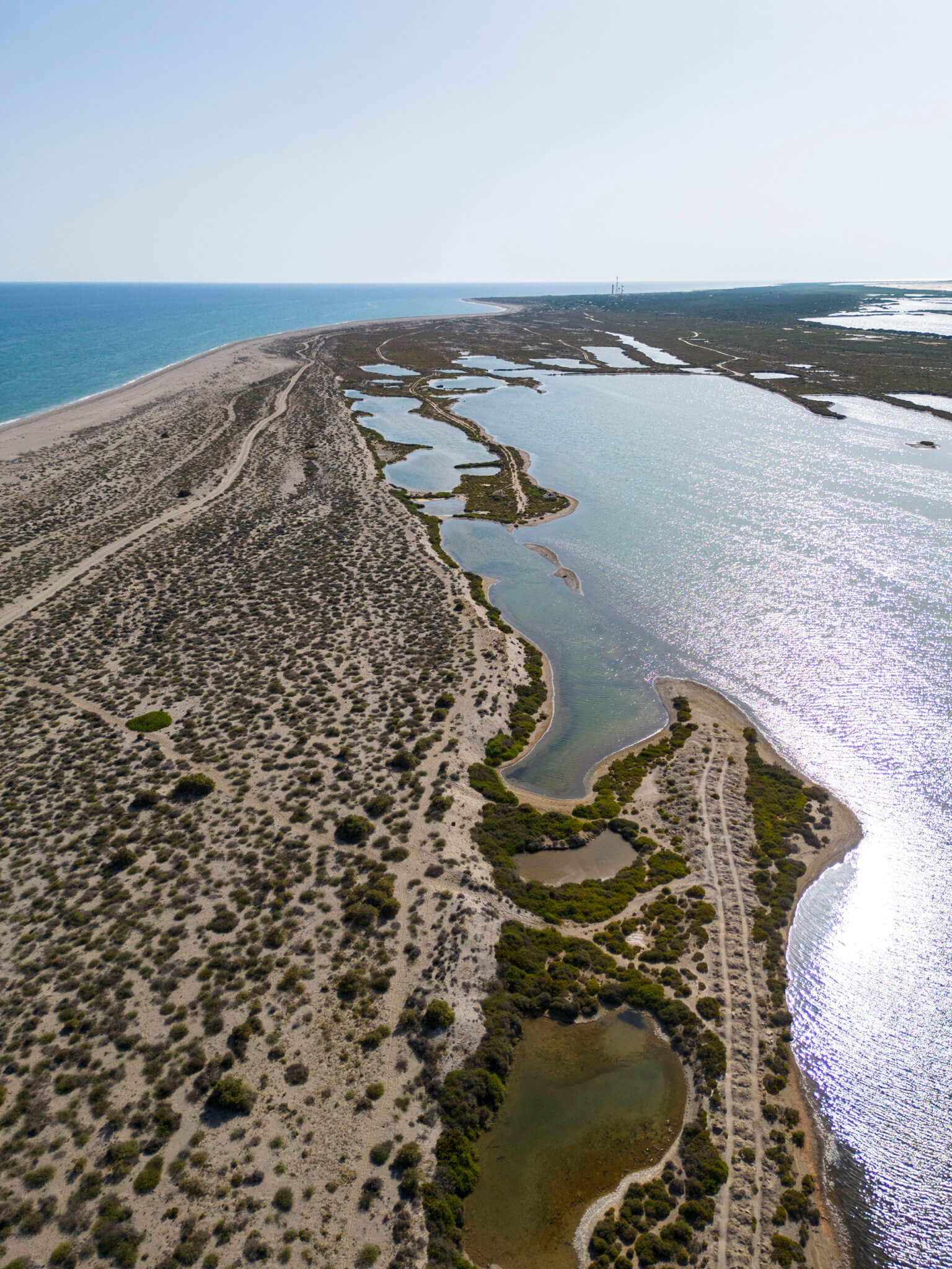 Qué ver en la Reserva Natural de Punta Entinas-Sabinar | Almería ...