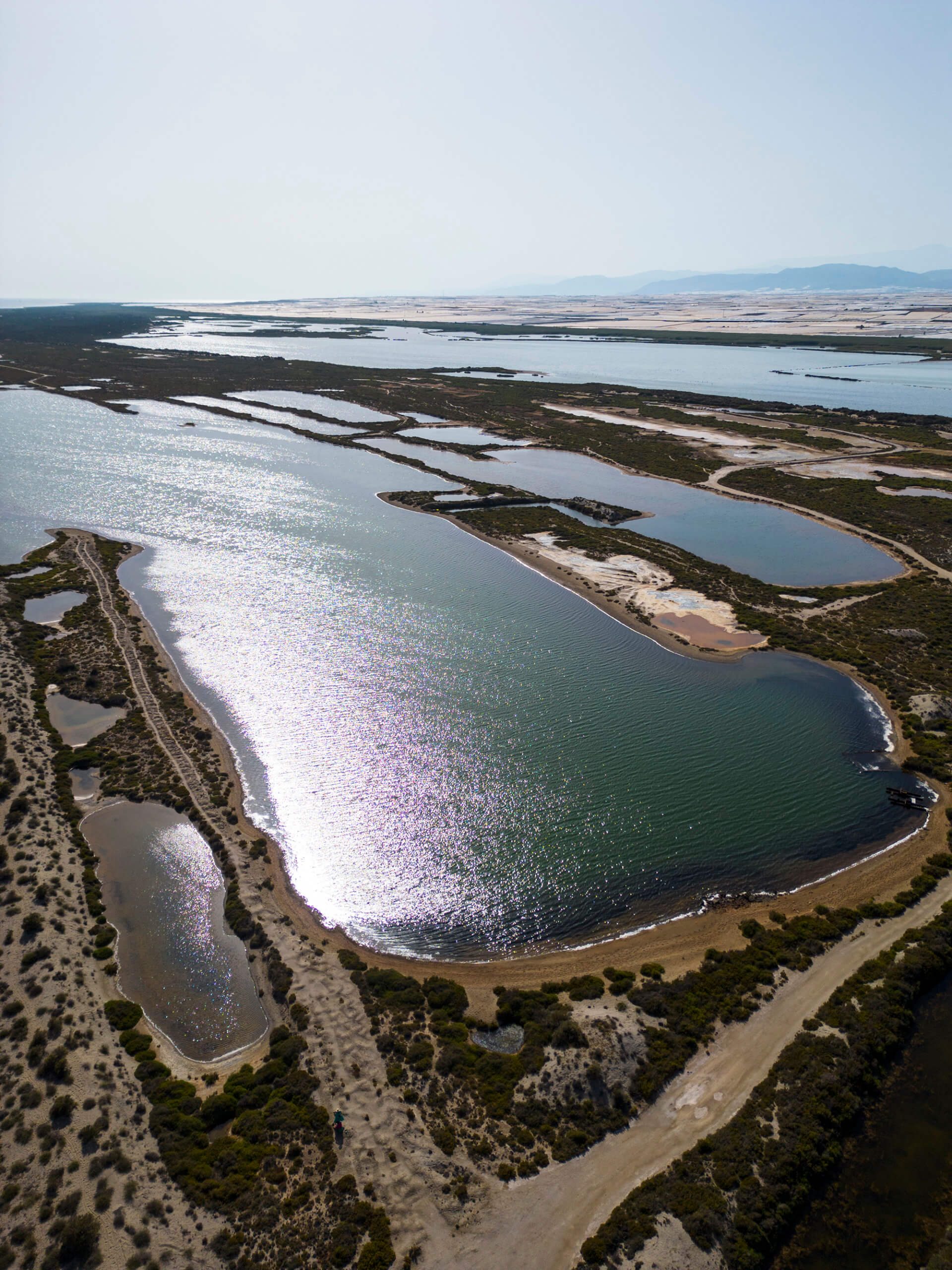 Qué ver en la Reserva Natural de Punta Entinas-Sabinar | Almería ...
