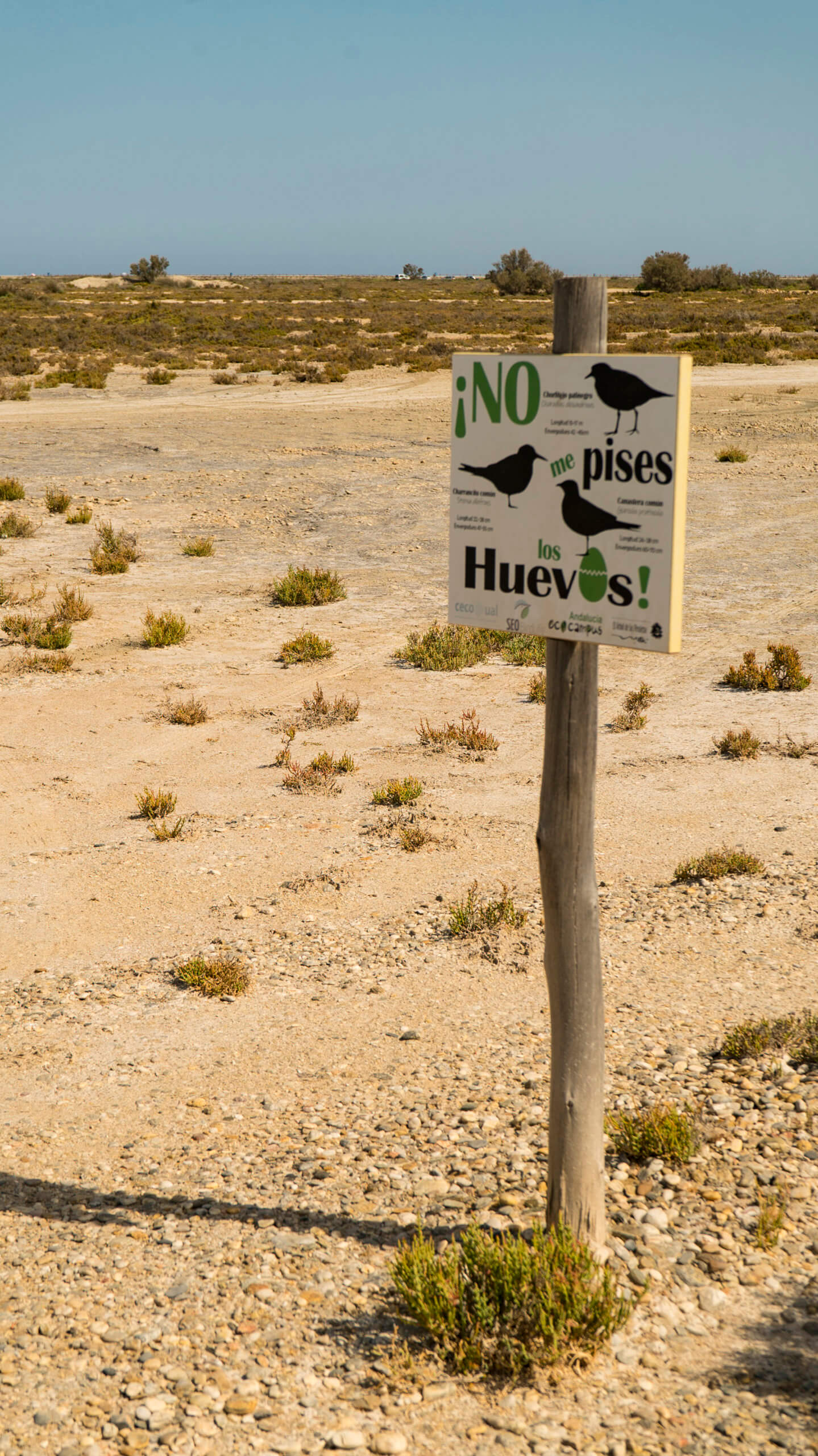 Qué ver en la Reserva Natural de Punta Entinas-Sabinar | Almería ...