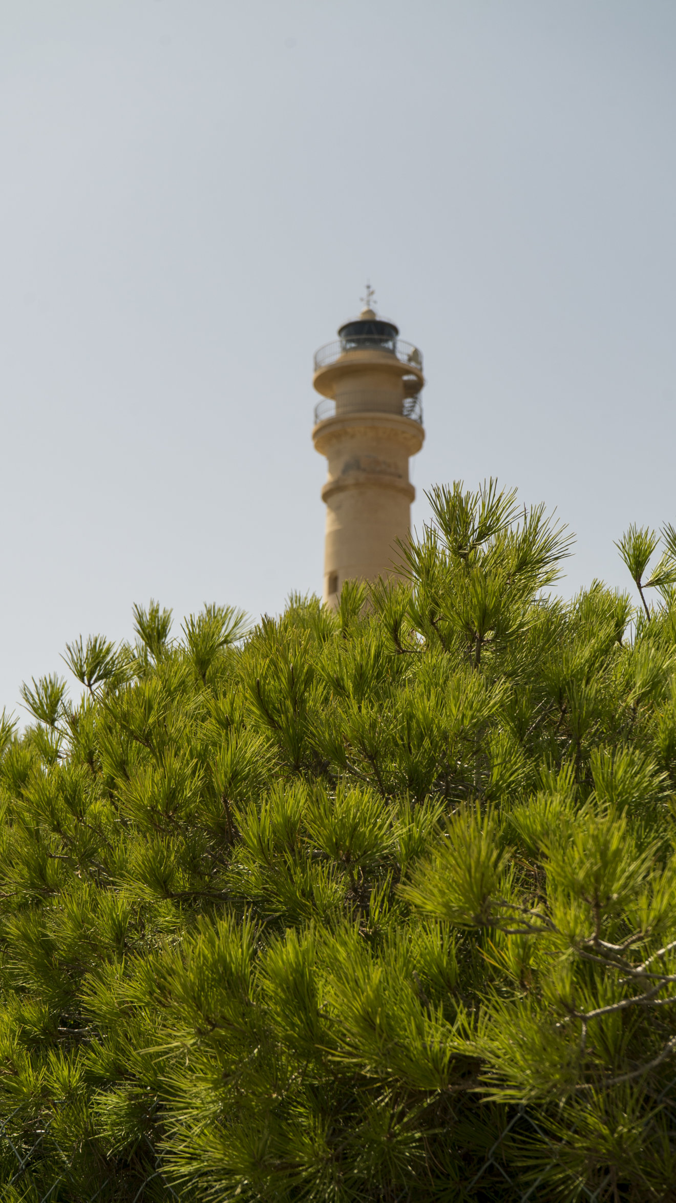 Qué ver en la Reserva Natural de Punta Entinas-Sabinar | Almería ...