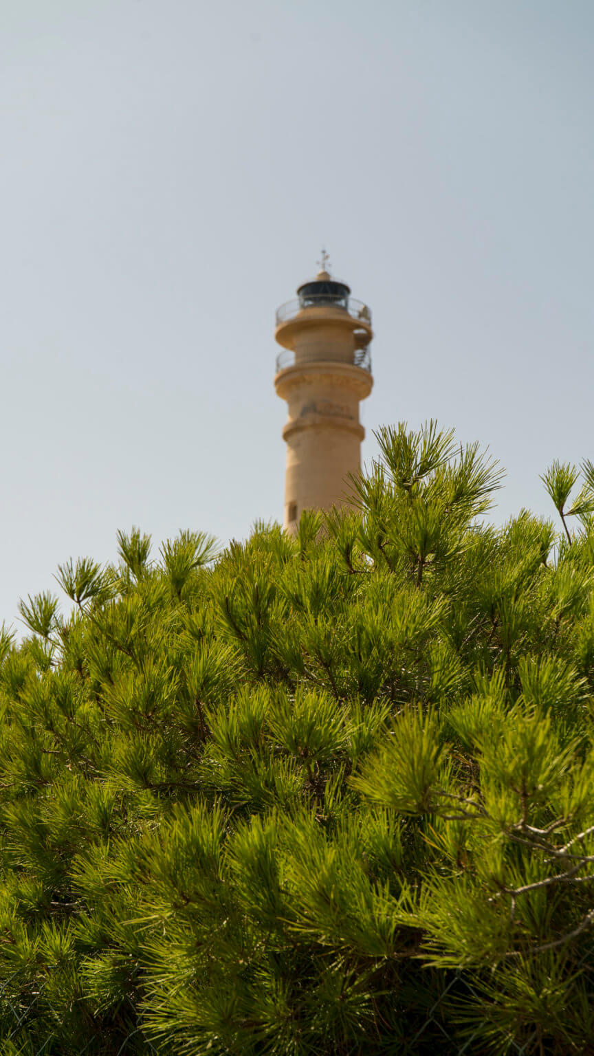 Qué ver en la Reserva Natural de Punta Entinas-Sabinar | Almería ...