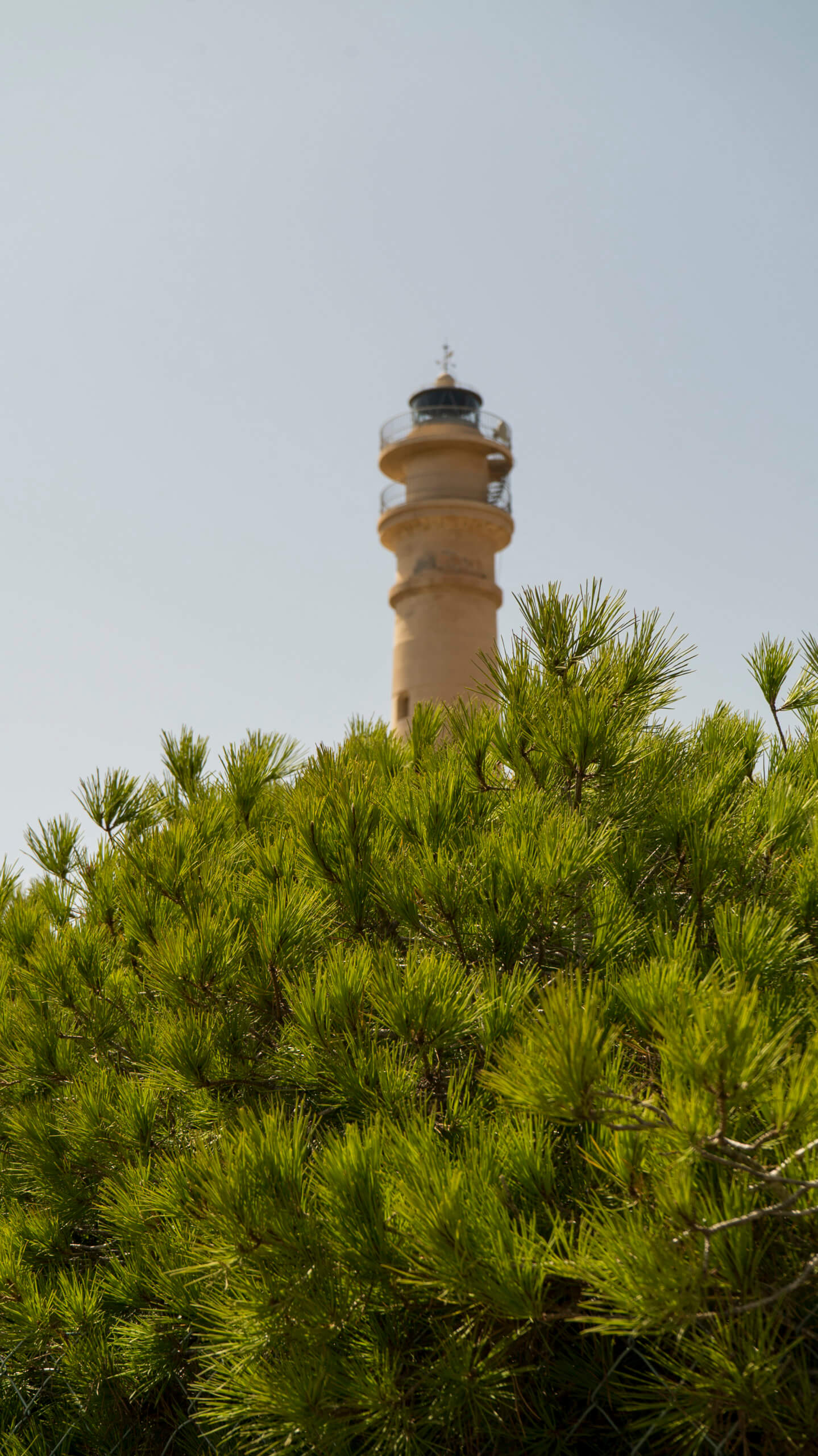 Qué ver en la Reserva Natural de Punta Entinas-Sabinar | Almería ...