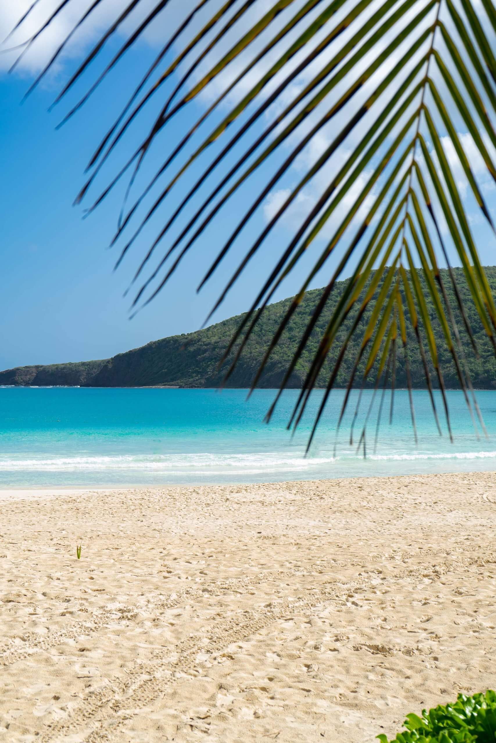 Isla Culebra: guía para recorrer un paraíso de Puerto Rico - TrotandoMundos