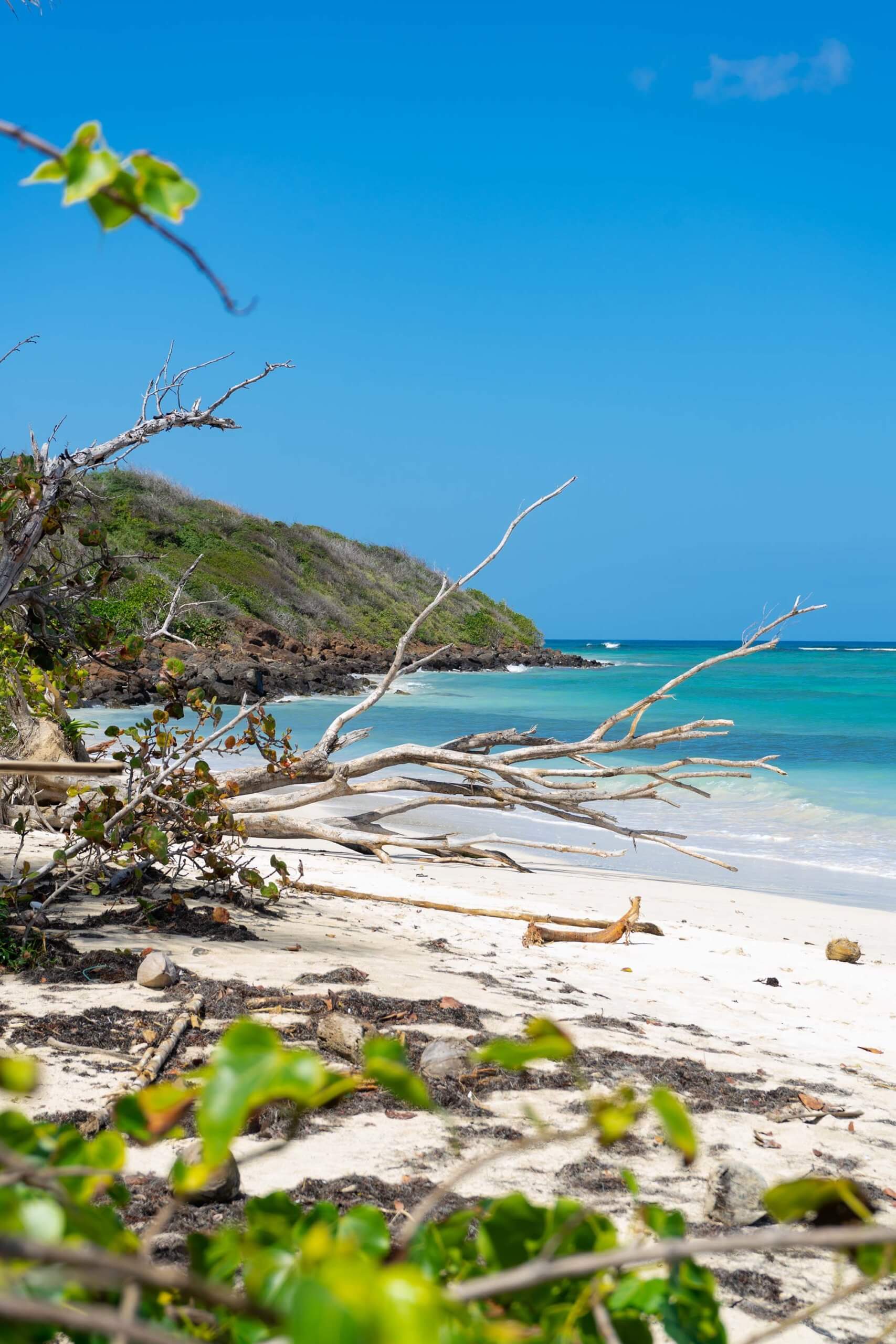 Isla Culebra: guía para recorrer un paraíso de Puerto Rico - TrotandoMundos