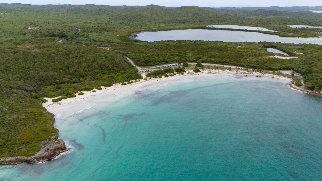 Isla de Vieques: qué ver en esta preciosa isla de Puerto Rico ...