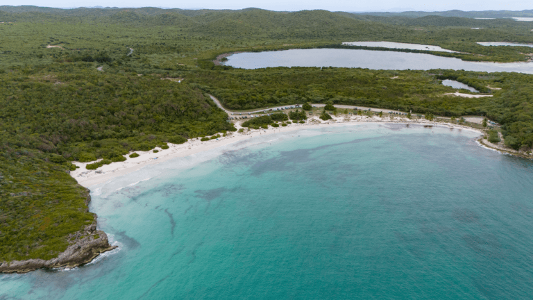 Vieques: qué ver en esta preciosa isla de Puerto Rico - TrotandoMundos