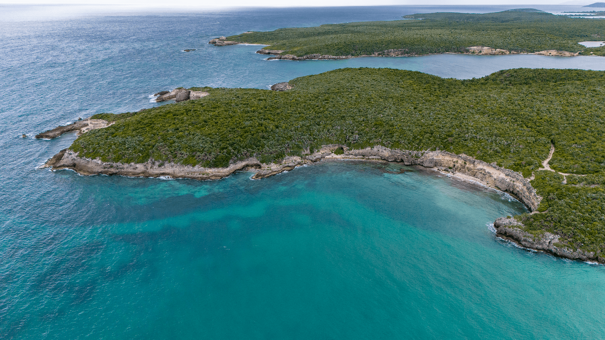 Vieques: qué ver en esta preciosa isla de Puerto Rico - TrotandoMundos