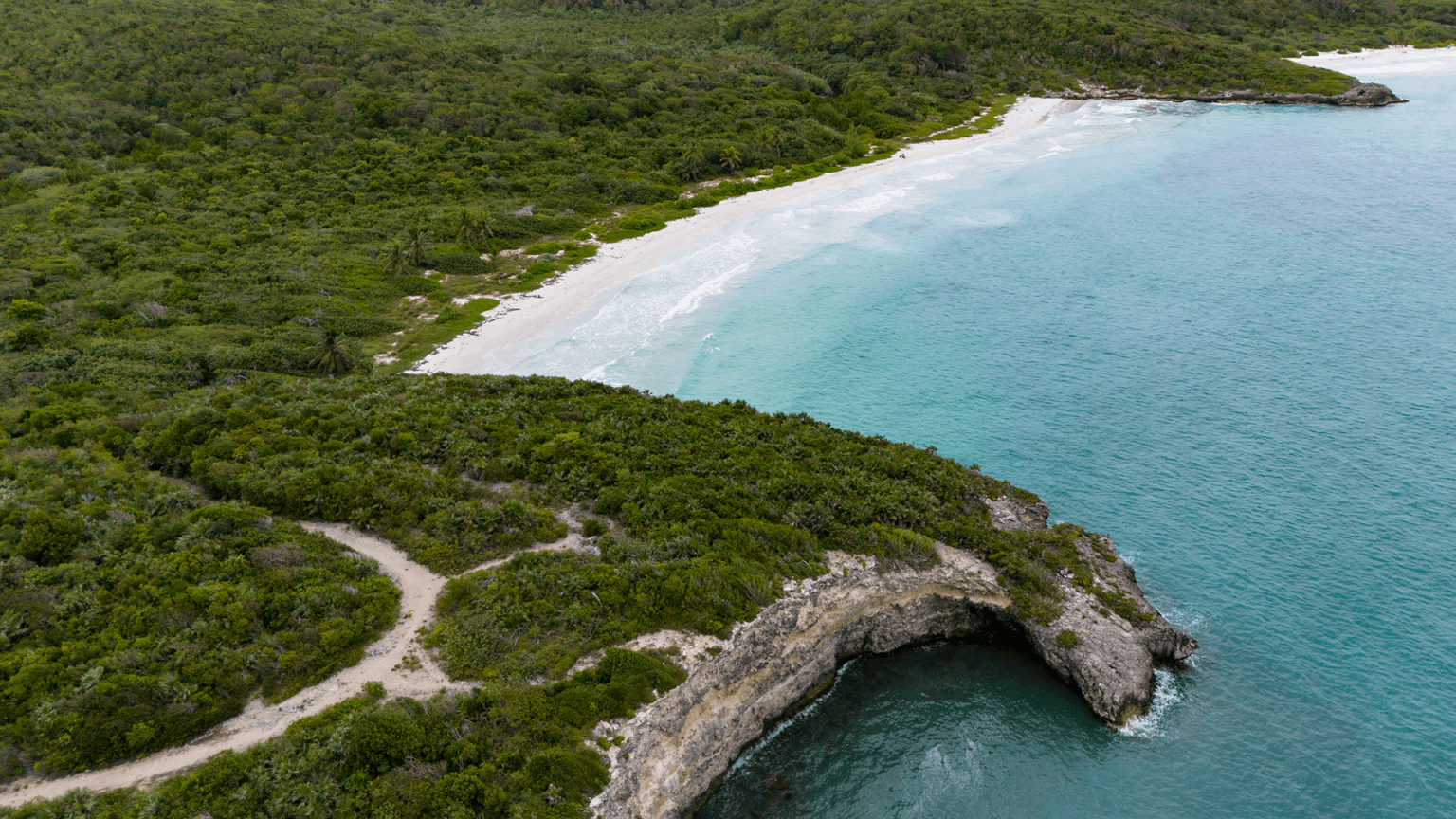 Las 10 mejores playas en la isla de Vieques | Puerto Rico - TrotandoMundos
