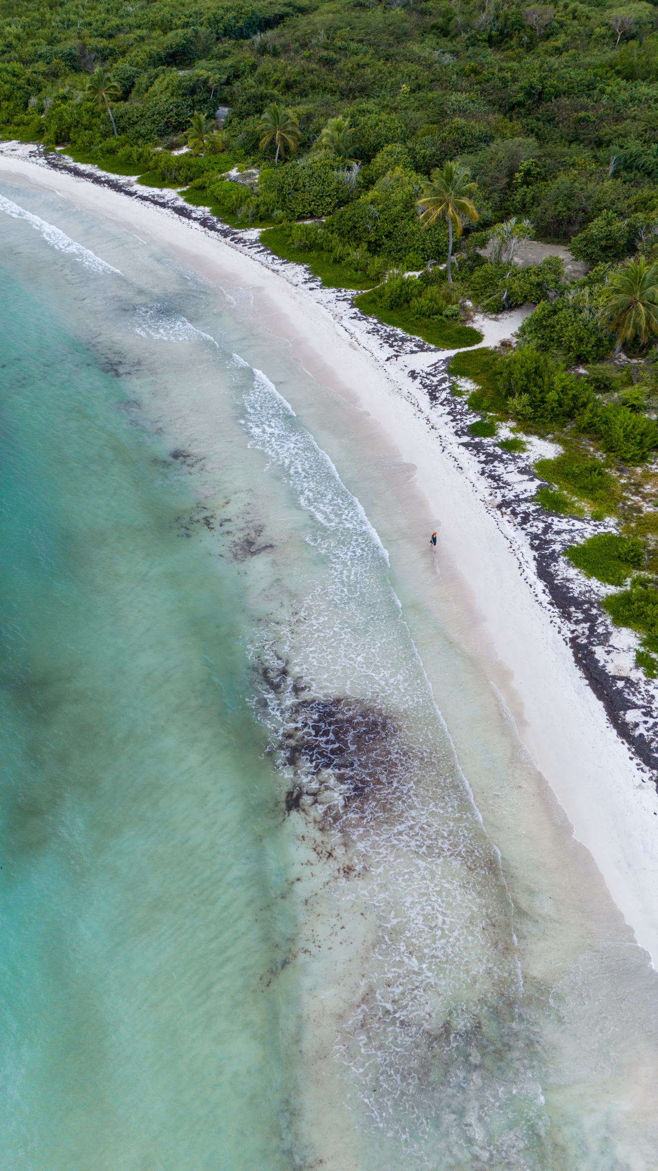 Vieques: qué ver en esta preciosa isla de Puerto Rico - TrotandoMundos