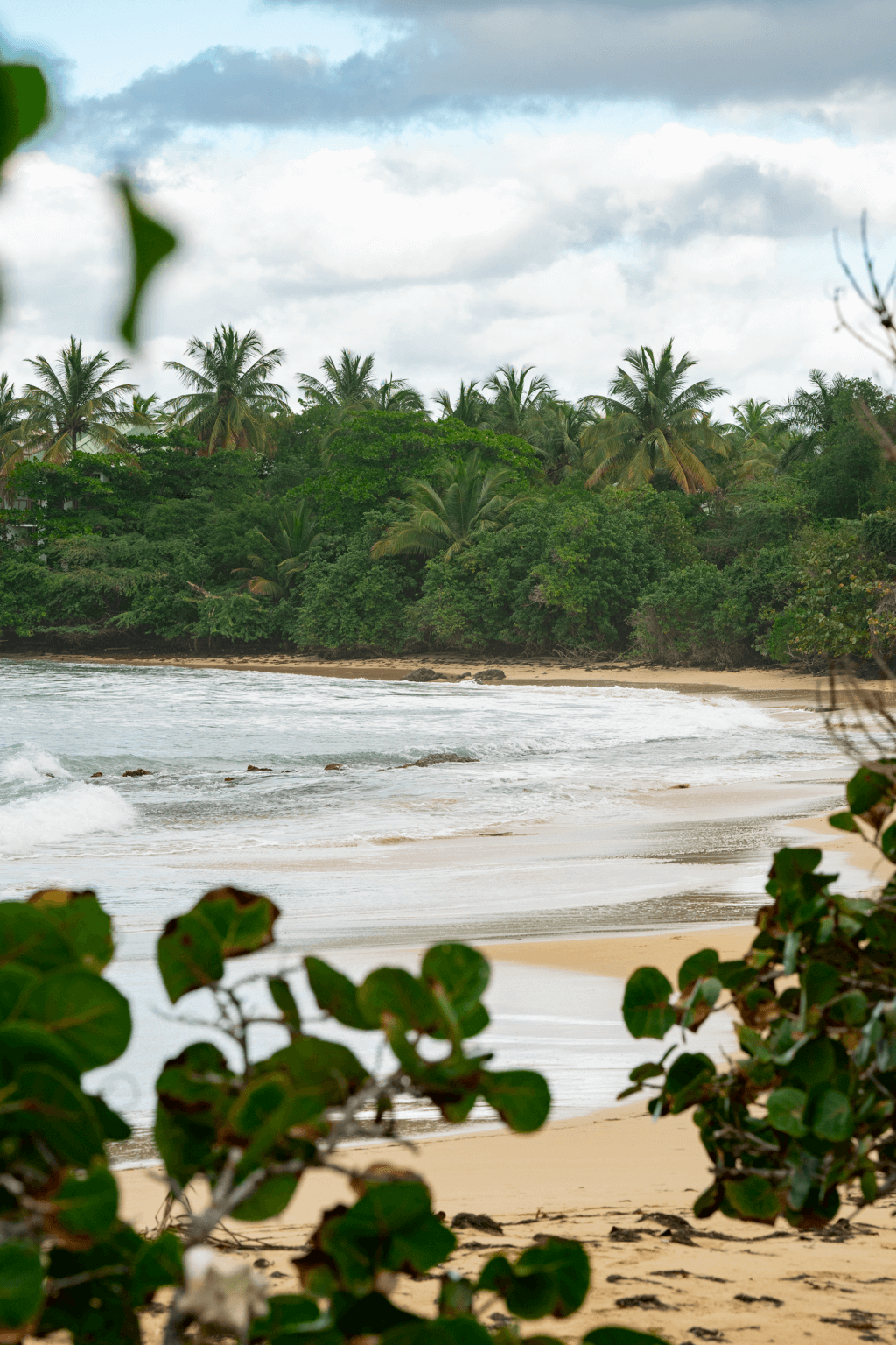Vieques: qué ver en esta preciosa isla de Puerto Rico - TrotandoMundos