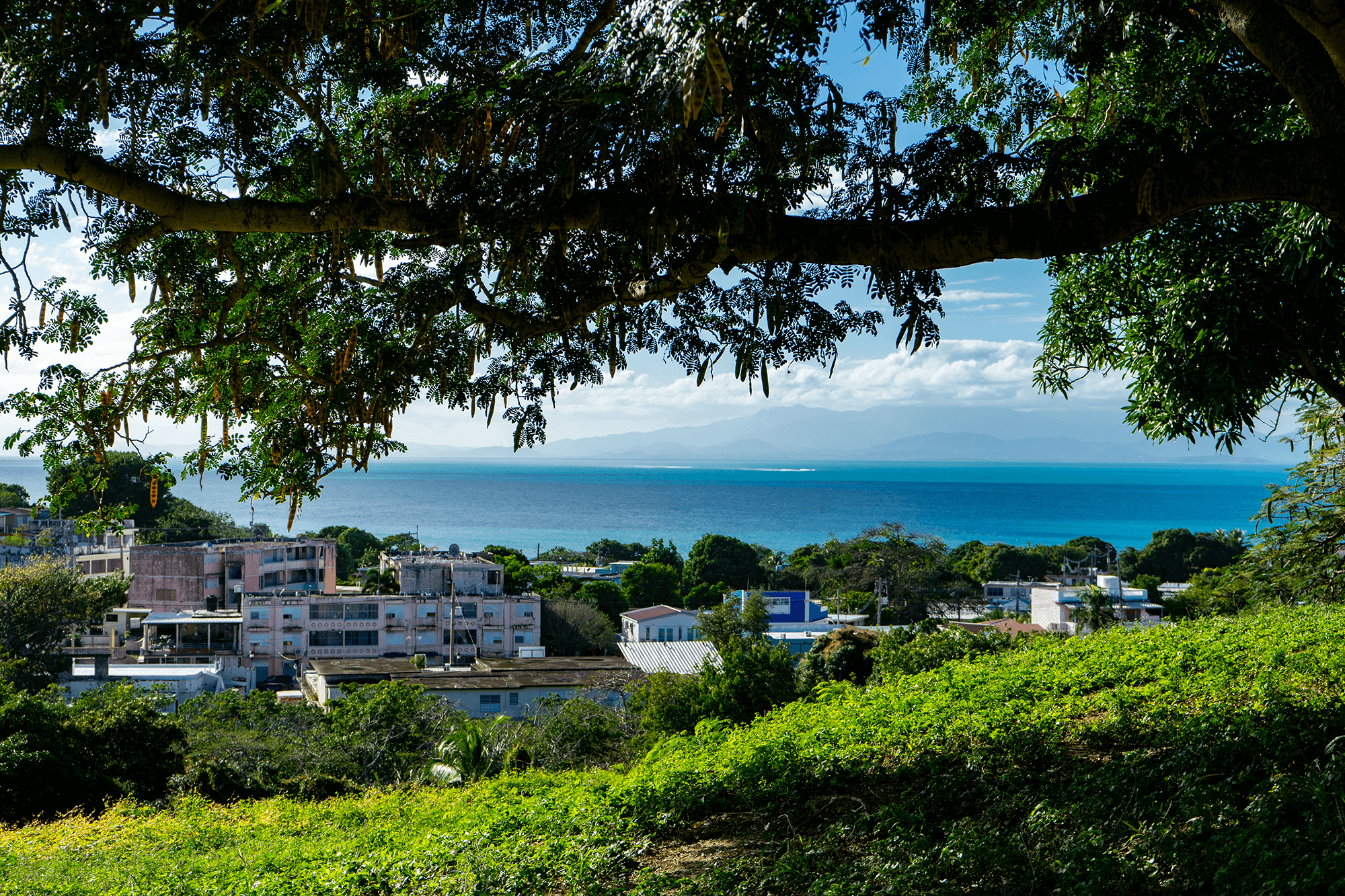 Vieques: qué ver en esta preciosa isla de Puerto Rico - TrotandoMundos