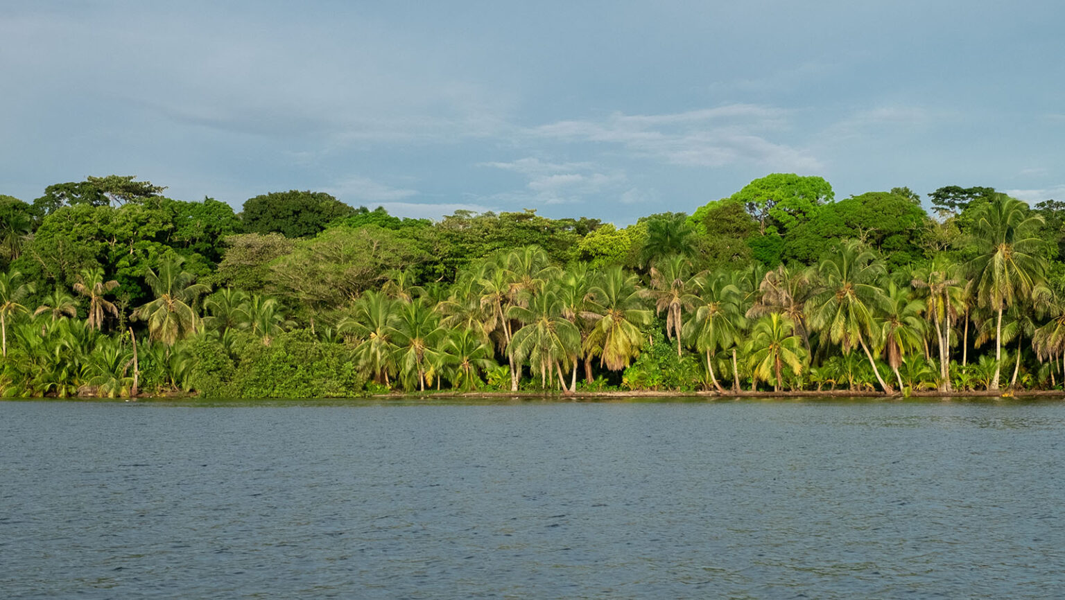 Isla Bastimentos y su Parque Marino en Bocas del Toro | Panamá ...