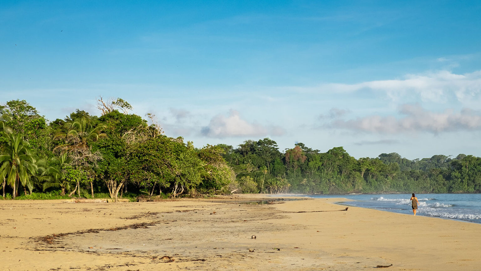 Isla Bastimentos y su Parque Marino en Bocas del Toro | Panamá ...
